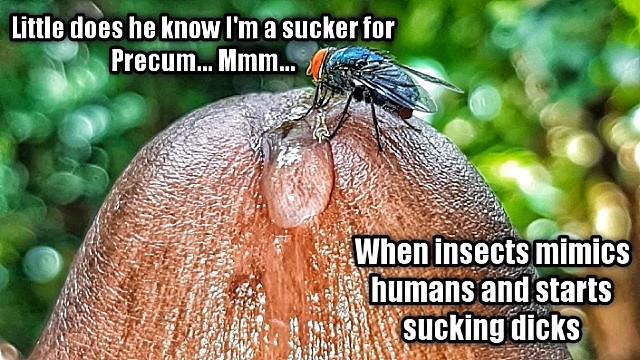 牙买加大鸡巴家伙呈现 极端特写 Precum 在牙买加玩最湿的鸡巴！性感的呻吟 Pornhub Gay