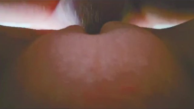 Quick Taster