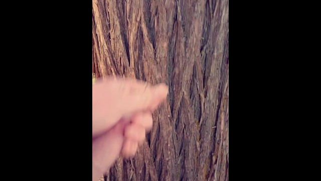 加州的阳光让我在一棵树上拍摄大量的负载 Pornhub Gay